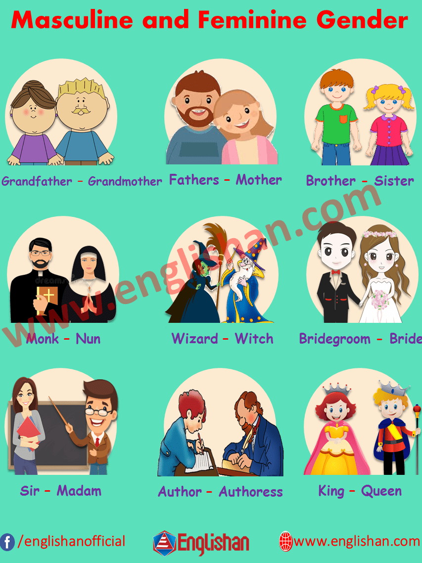 100 Examples Of Masculine And Feminine Gender • Englishan