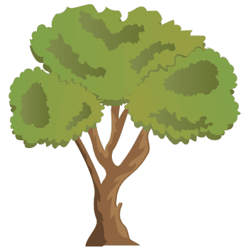 100 Plants Names in English with Pictures • Englishan