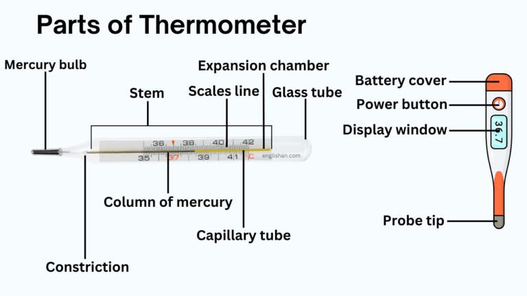 Parts of BP Apparatus Names in English • Englishan