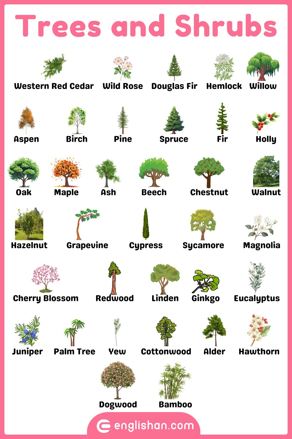 100 Plants Names in English with Pictures • Englishan