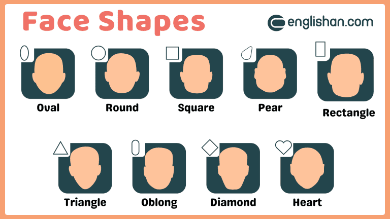 Picture Vocabulary - Learn English with Engaging Visuals • Englishan
