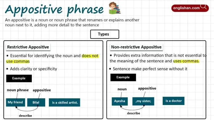 Appositive Phrase: Definition, Types and Examples