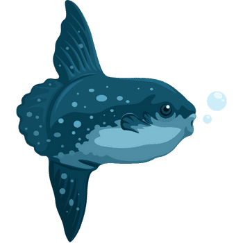 100 Sea Animals Name in English with Pictures • Englishan