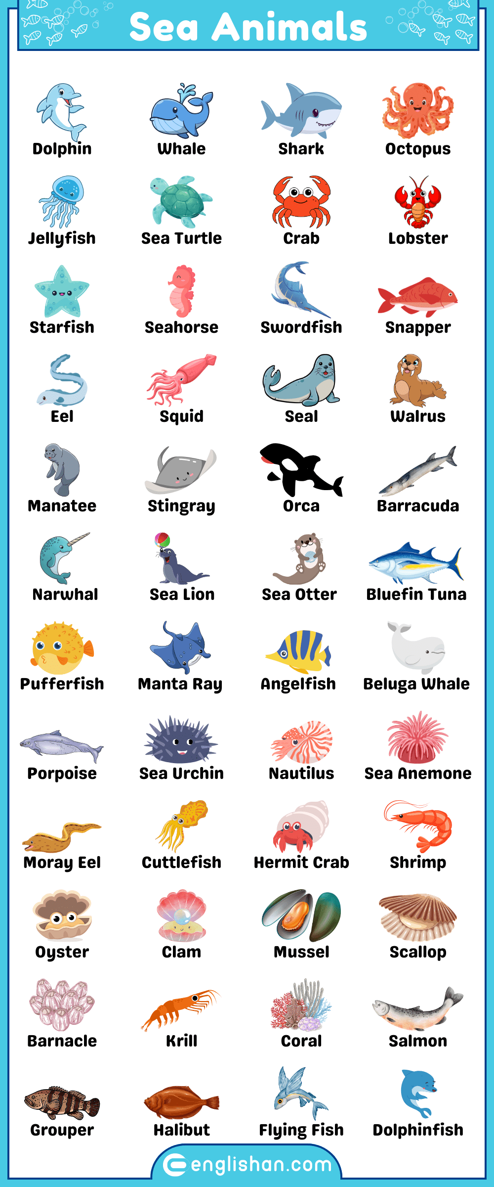 100 Sea Animals Name in English with Pictures • Englishan