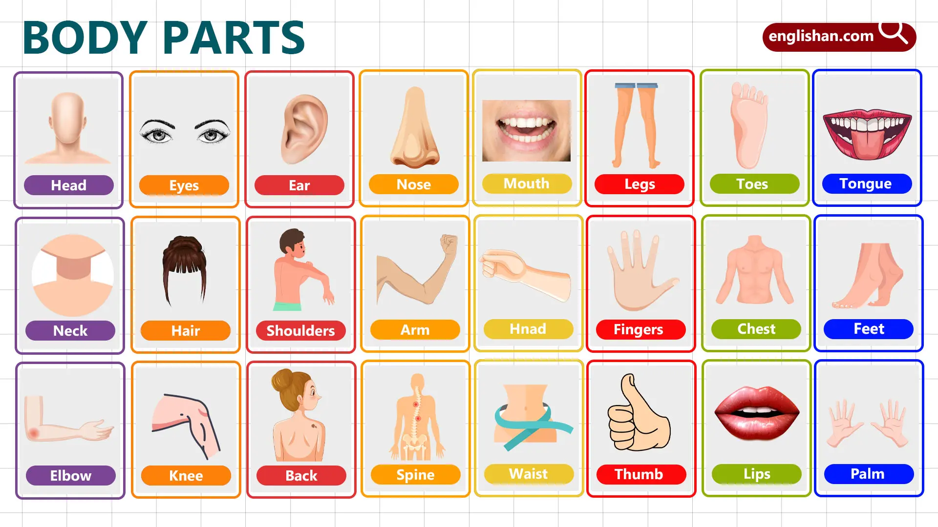 24 Body Parts Names for Kids and Beginners