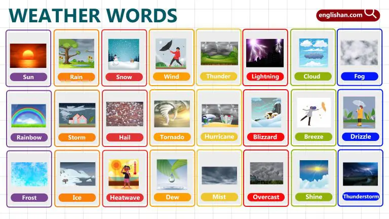 Words Related to Nature for Kids to Grow Vocabulary • Englishan