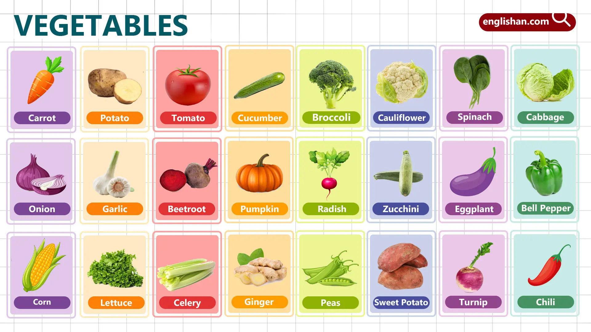 Vegetables Names for Kids with Pictures • Englishan
