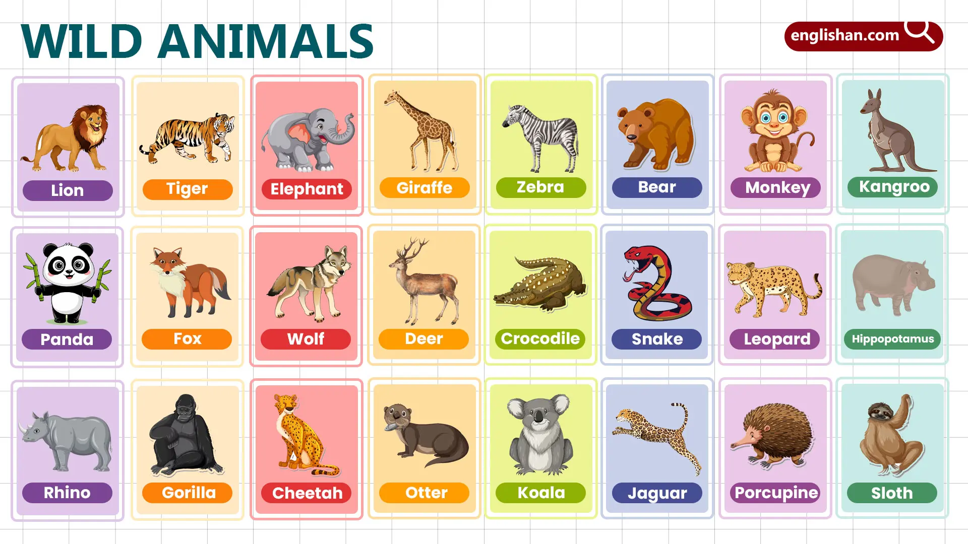 Zoo Animals For Children Animal Names For Kids Wild