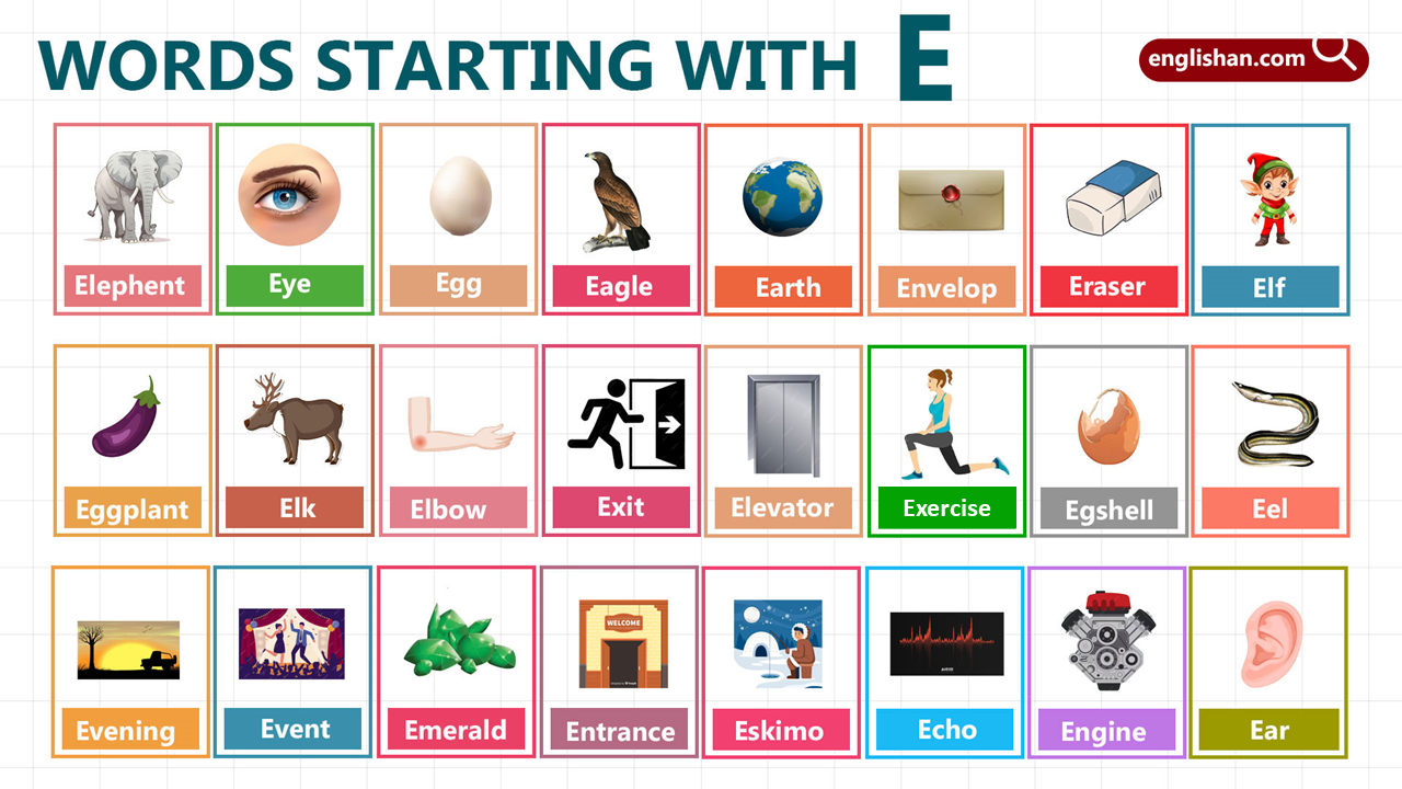 Words Starting with Letter E to Boost Your Vocabulary