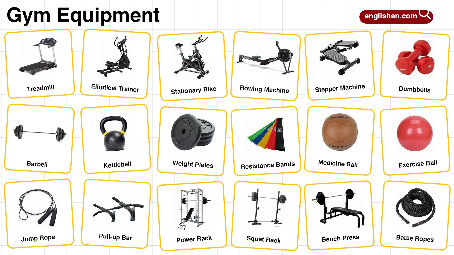 Learn the Names of Gym Equipment with Pictures and Uses