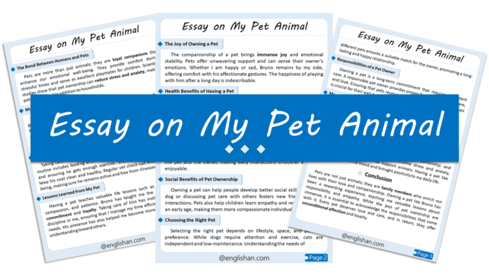 My Pet Animal Essay – 10 Lines, 250 Words, and 500 Words