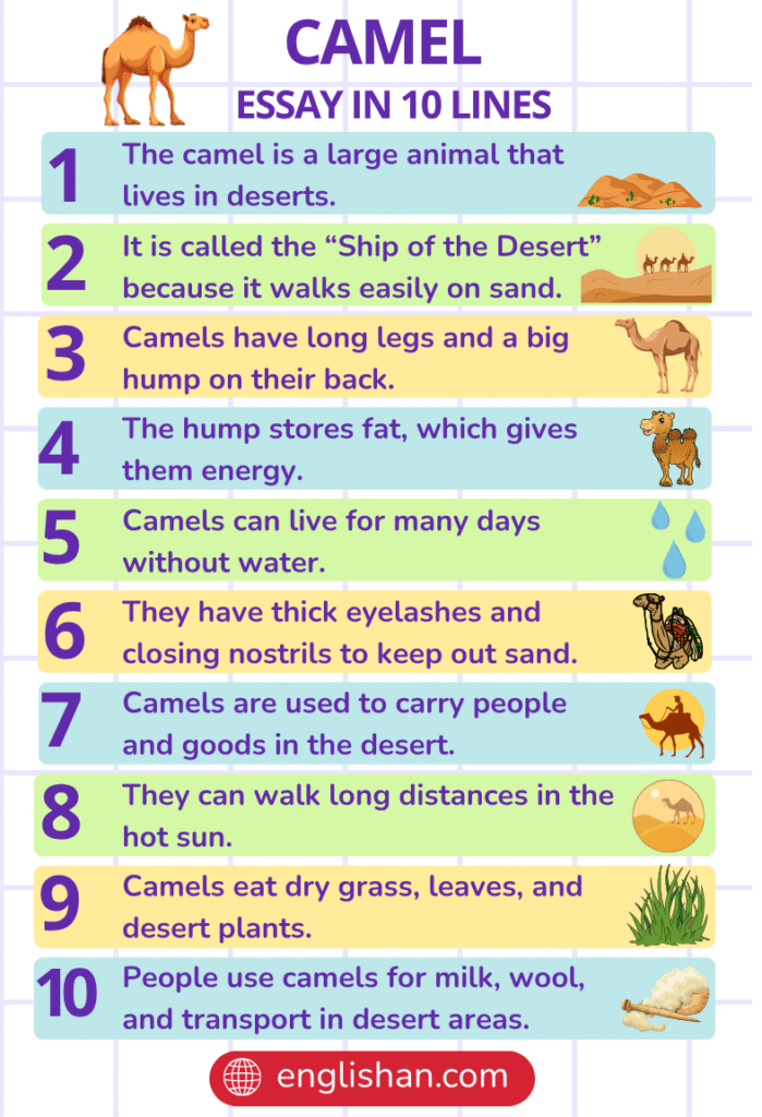 Camel Essay – 10 Lines, 250 Words, and 500 Words