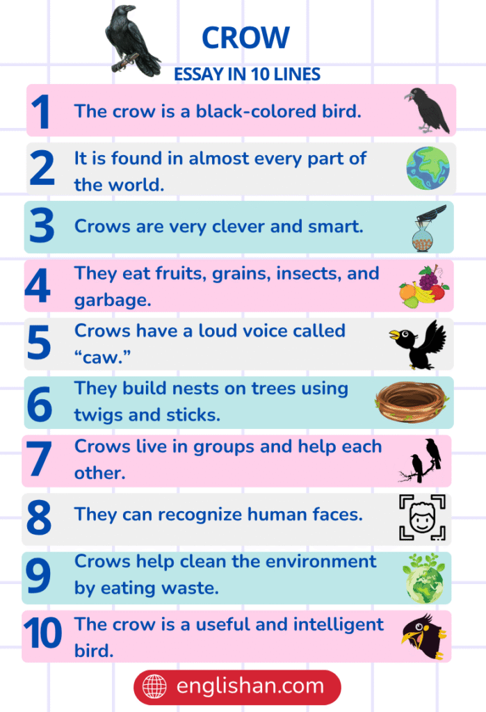 Crow Essay – 10 Lines, 250 Words, and 500 Words