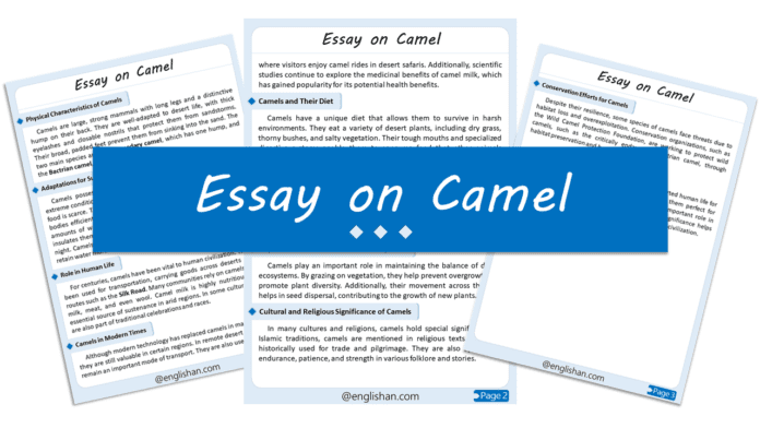 Camel Essay – 10 Lines, 250 Words, and 500 Words
