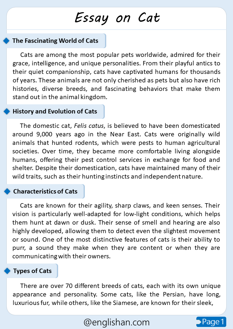 Cat Essay – 10 Lines, 250 Words, and 500 Words