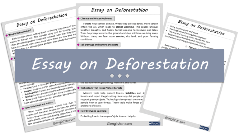 Environment Essay – 10 Lines, 250 Words, and 500 Words