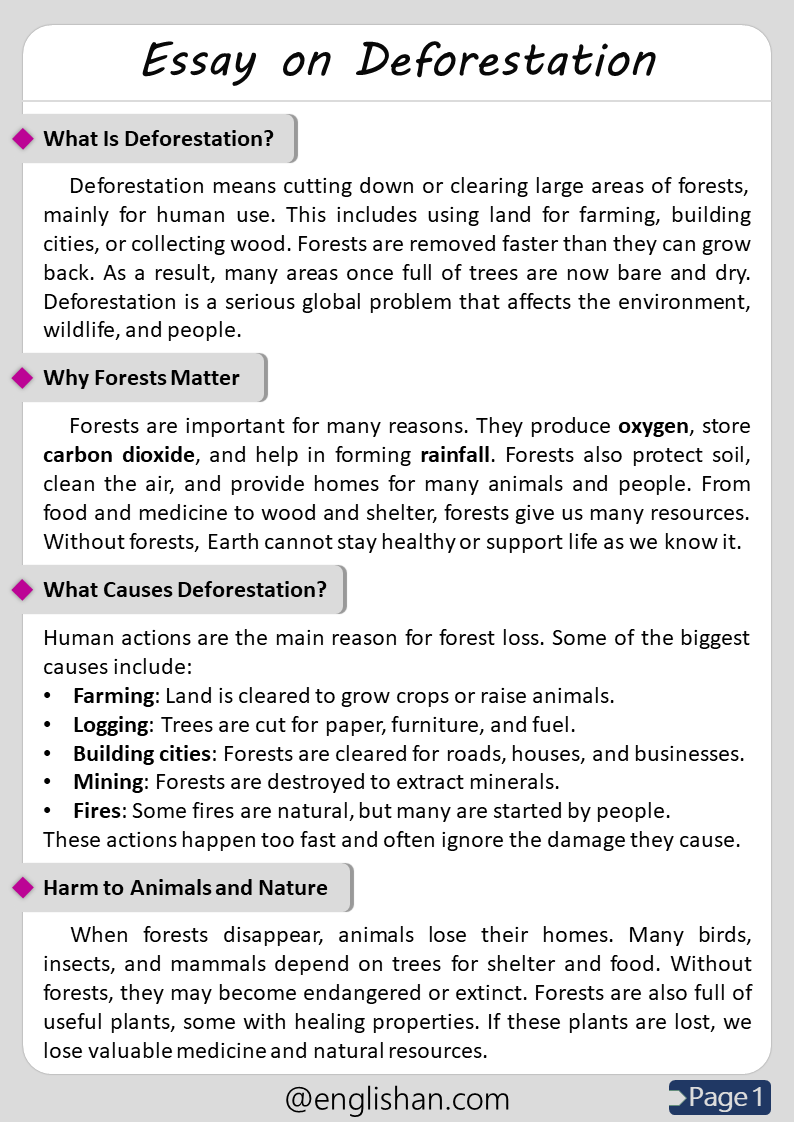 Deforestation Essay – 10 Lines, 250 Words, and 500 Words