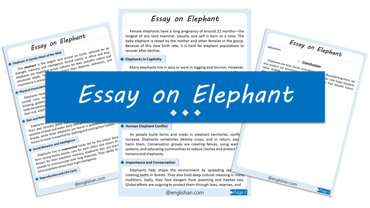Elephant Essay – 10 Lines, 250 Words, and 500 Words