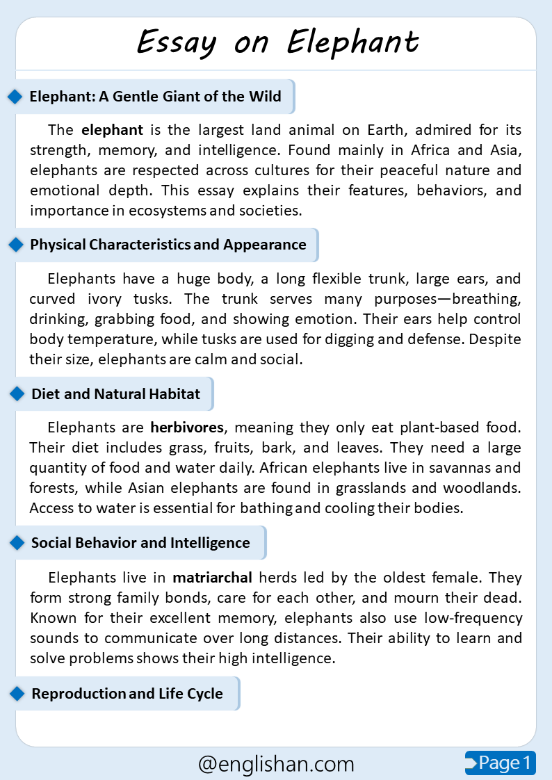 Elephant Essay – 10 Lines, 250 Words, and 500 Words