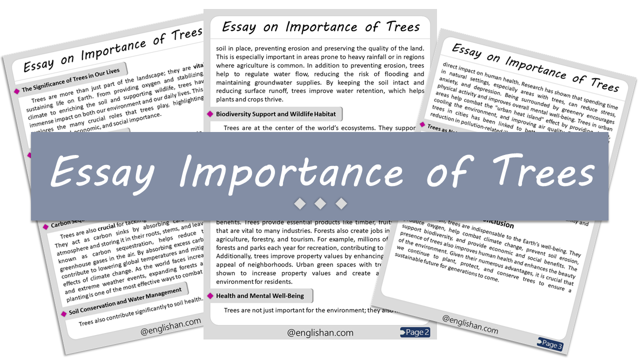 Importance of Trees Essay – 10 Lines, 250 Words, and 500 Words
