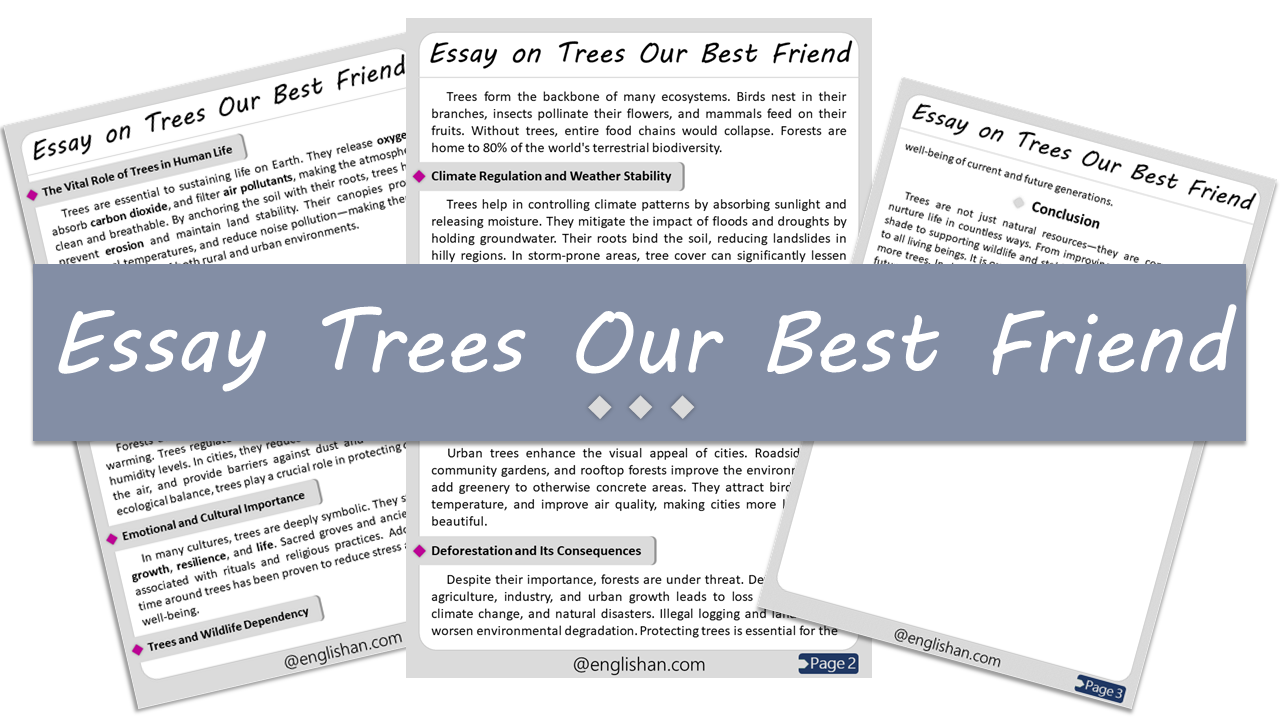Trees Our Best Friend Essay – 10 Lines, and 500 Words