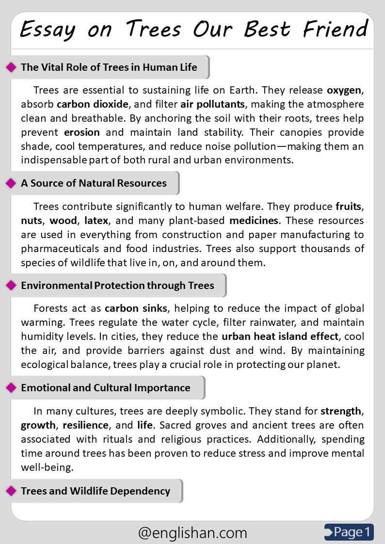 Trees Our Best Friend Essay – 10 Lines, and 500 Words