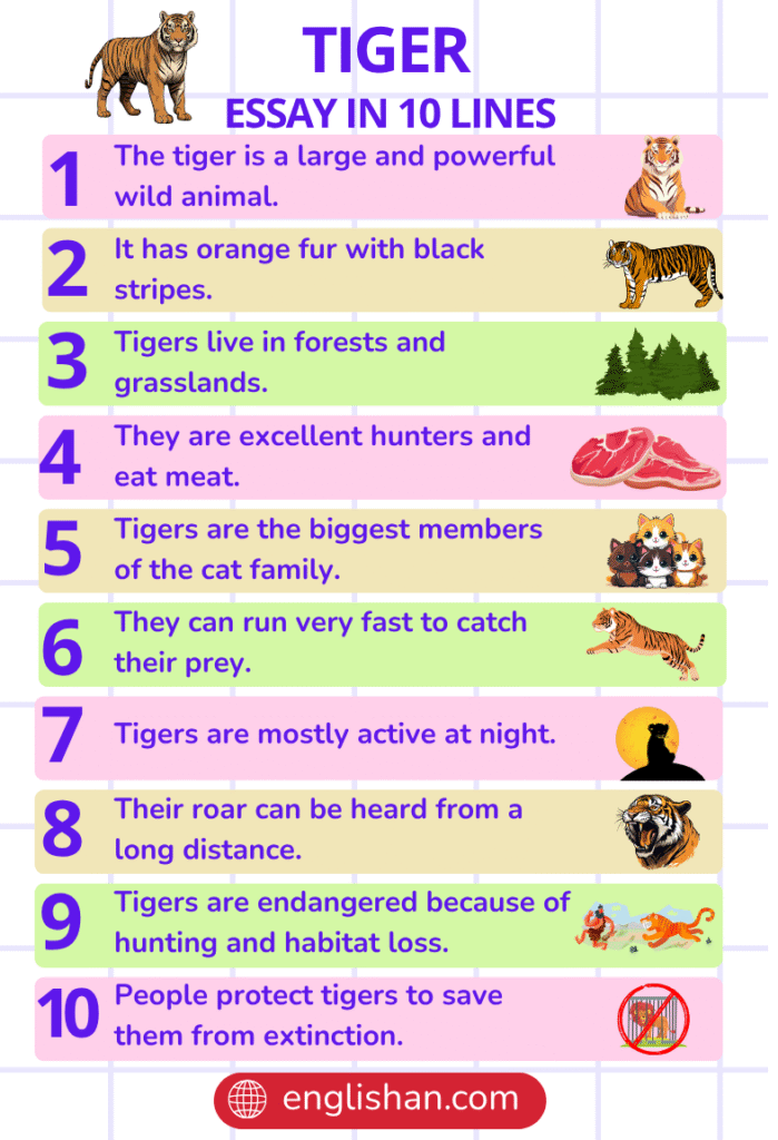 Tiger Essay – 10 Lines, 250 Words, and 500 Words