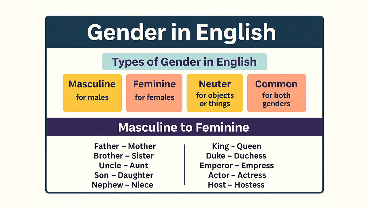 Gender in English – Meaning, Types, and Usage
