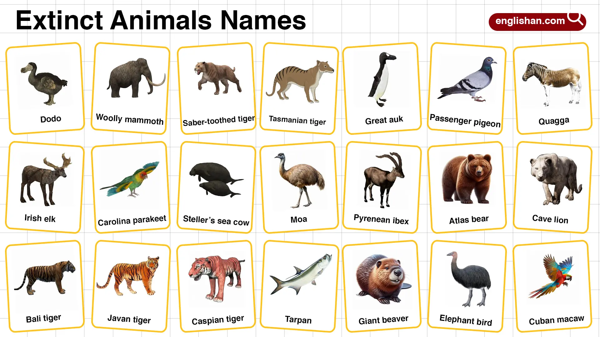 Extinct Animals Names in English with their Pictures