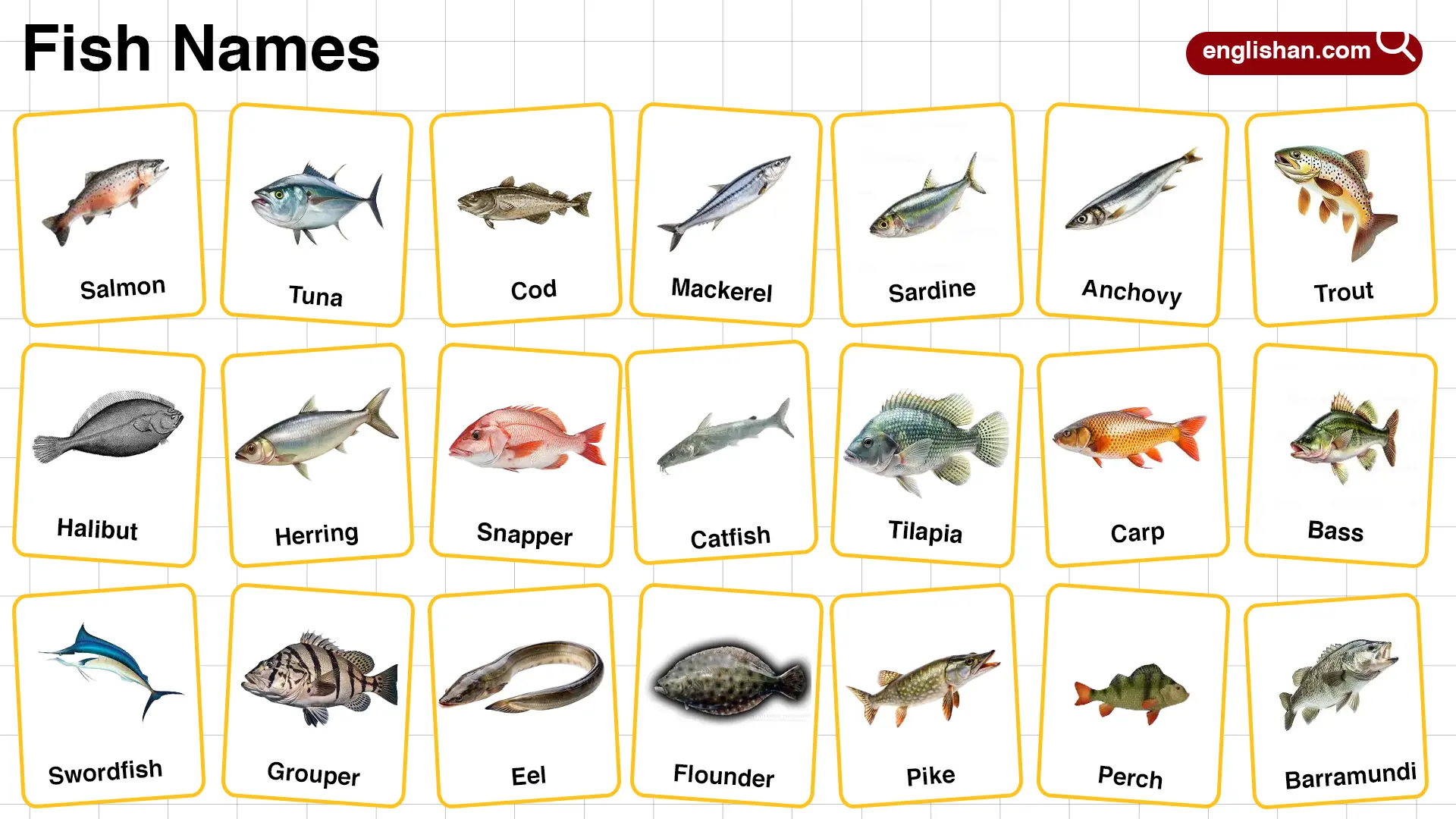 Fish Names in English with their Pictures