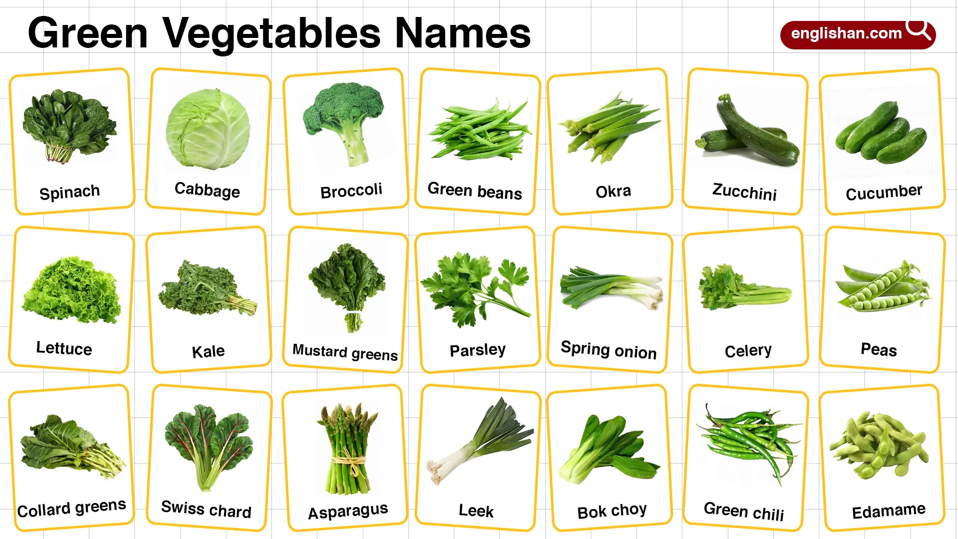 Green Vegetables Names in English with their Pictures