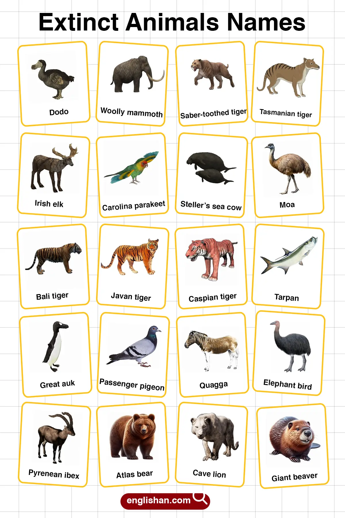Extinct Animals Names in English with their Pictures