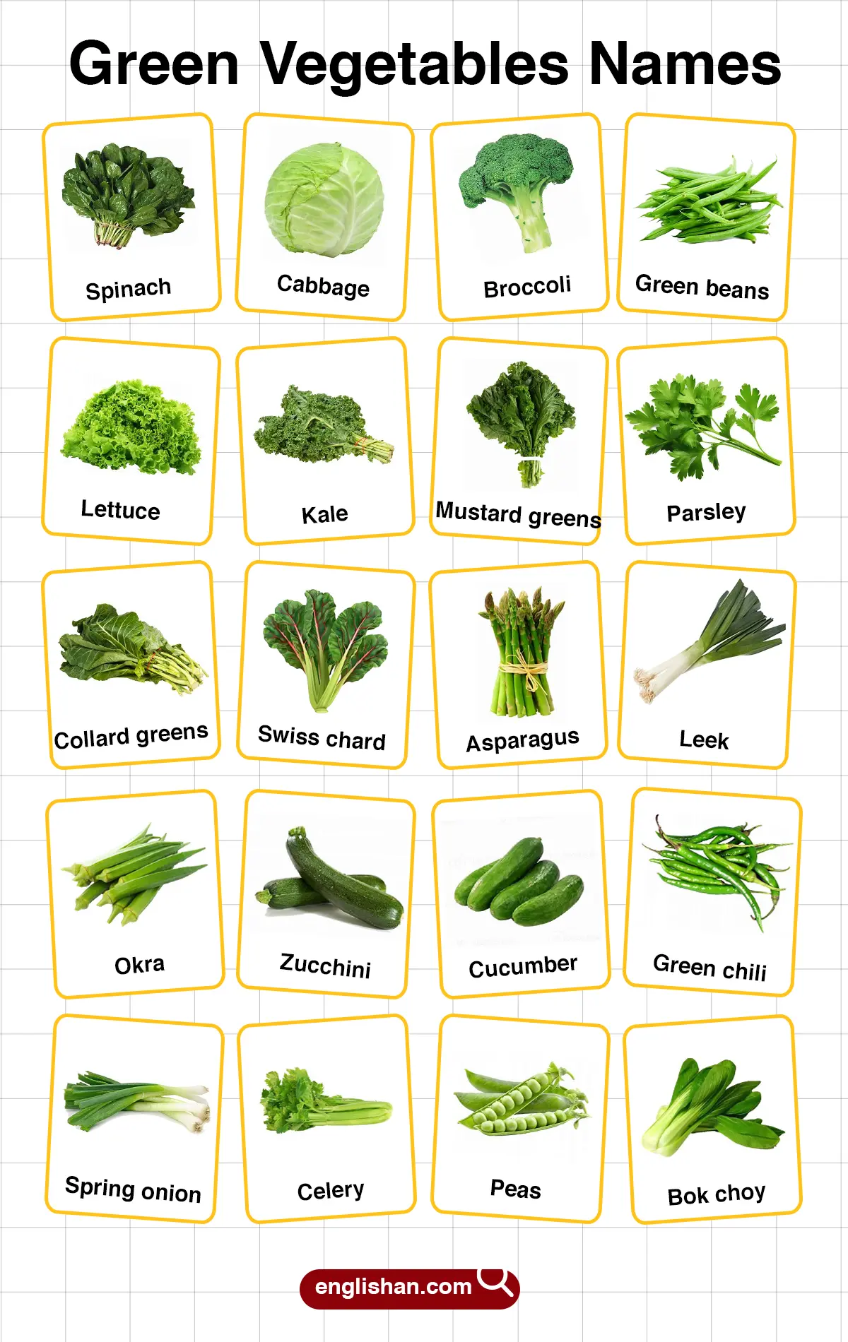 Green Vegetables Names in English with their Pictures