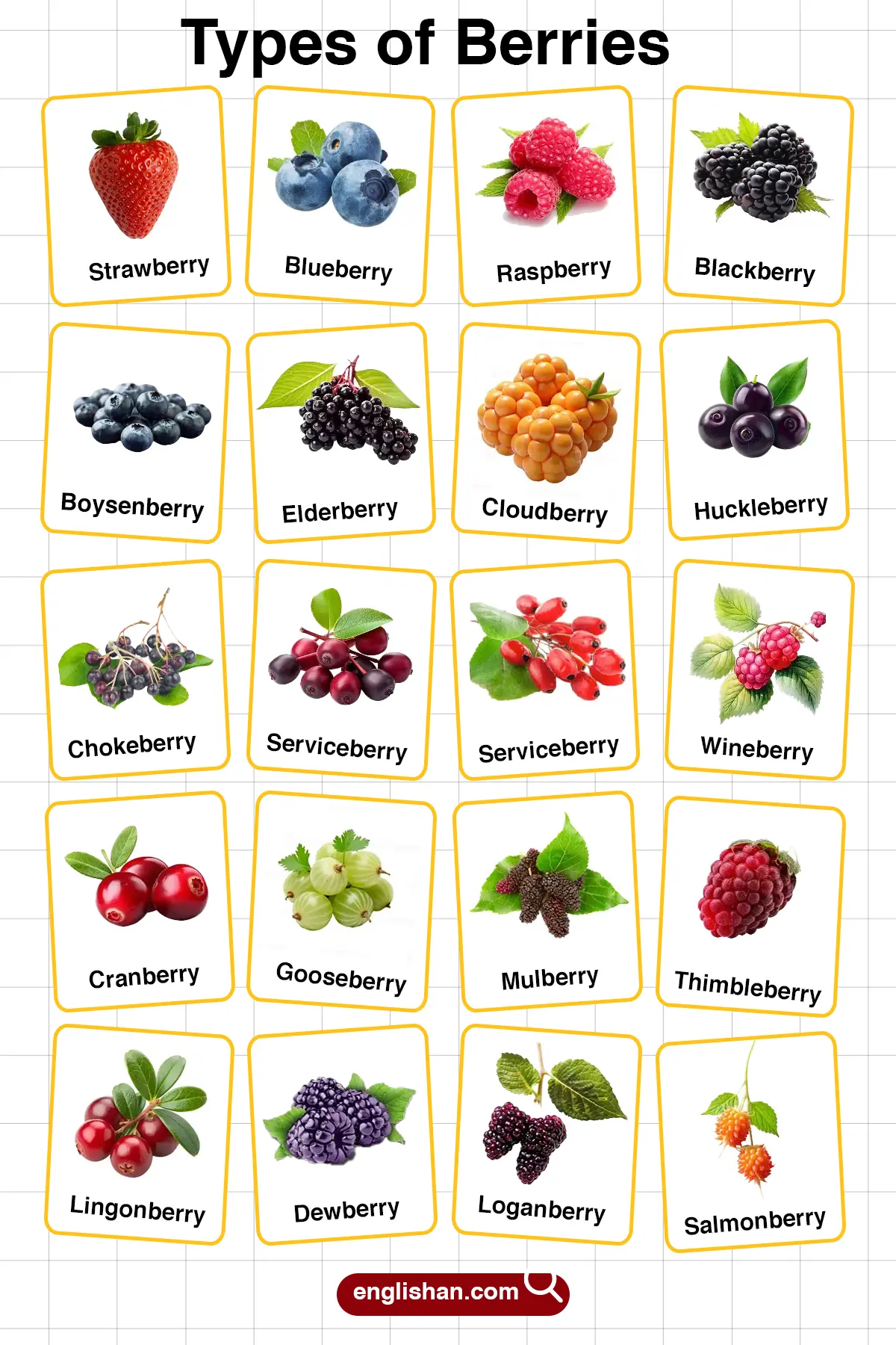 Types of Berries in English with their Pictures