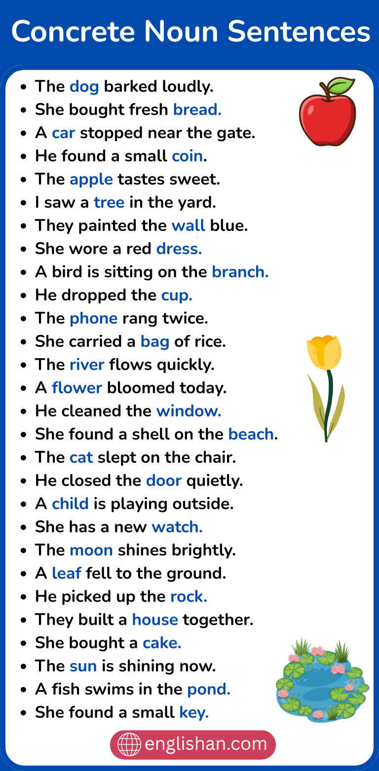 Comprehensive Concrete Noun Examples Sentences: 100 List