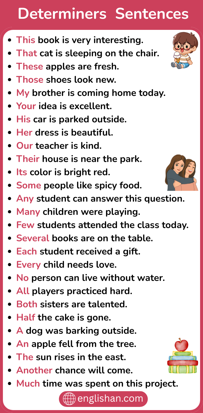 Determiners Examples Sentences: 100 Comprehensive List