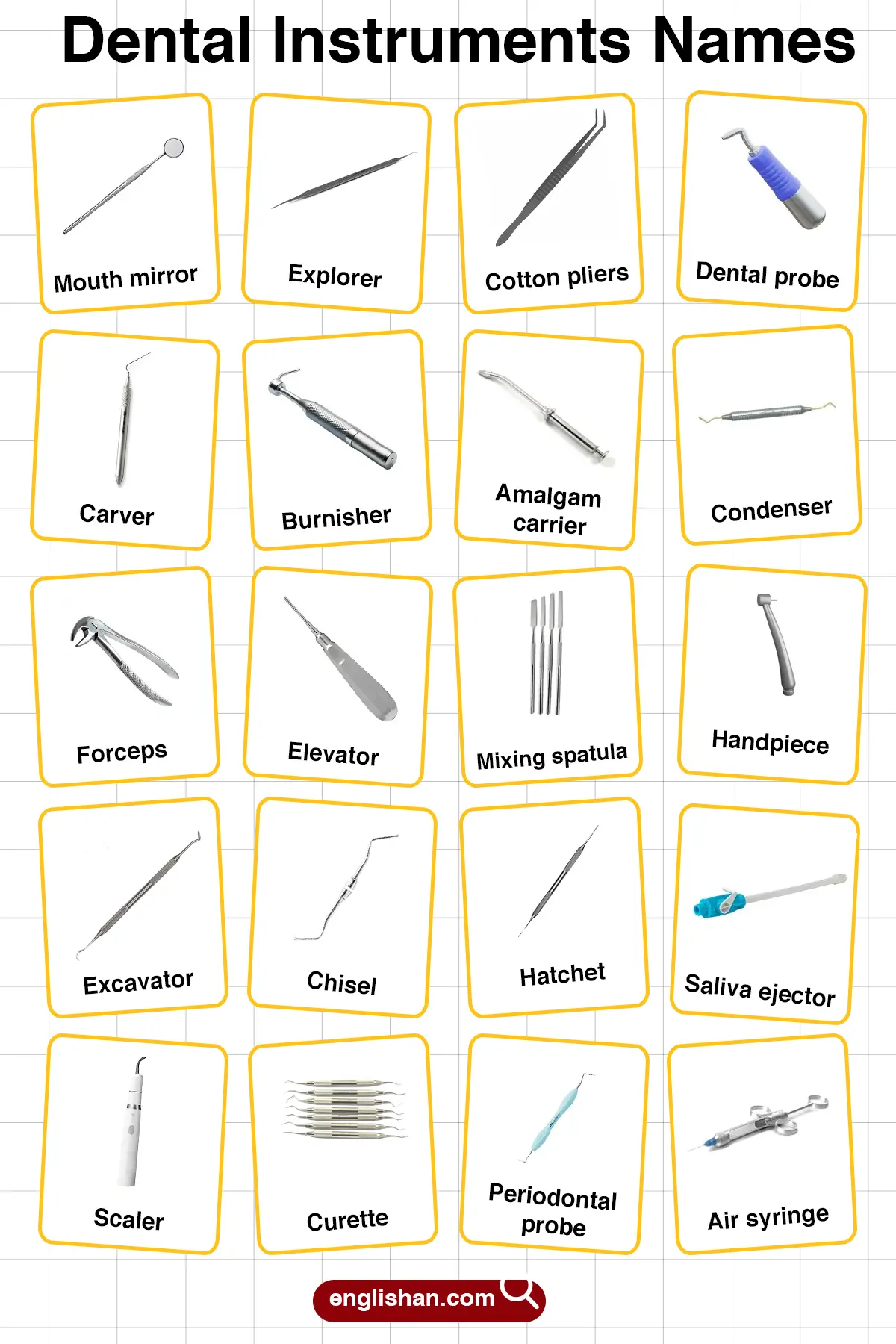 Dental Instruments Names in English with their Pictures