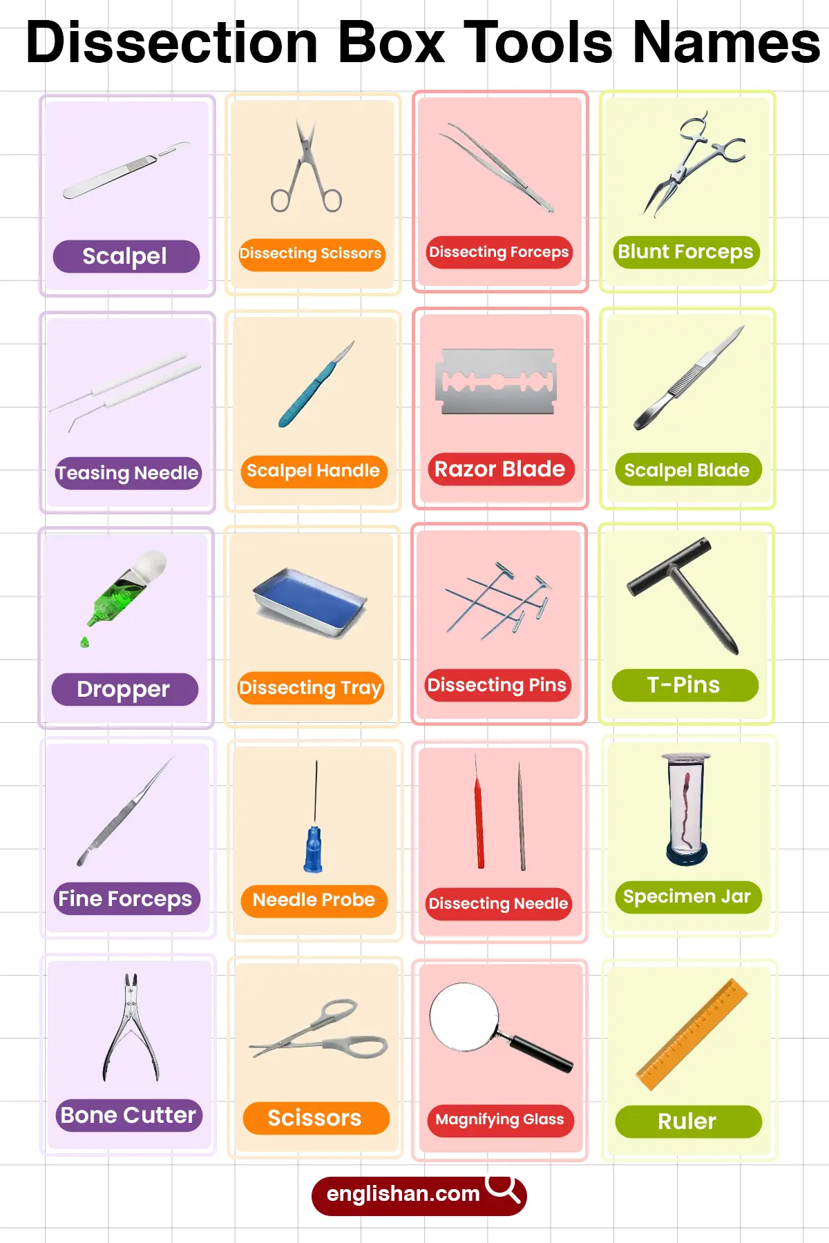 Dissection Box Tools Names in English with their Pictures