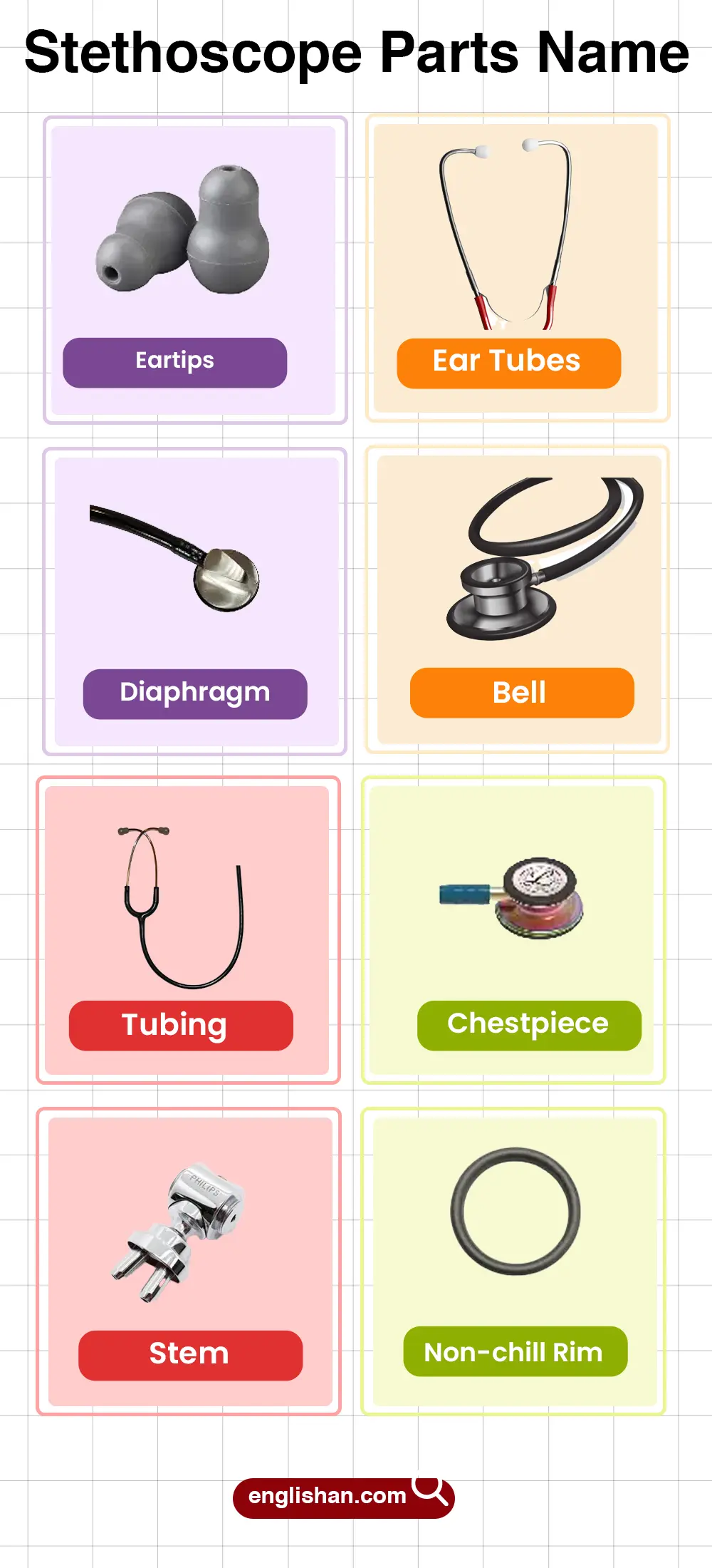 Parts of Stethoscope, Its Functions and Labeled Diagram