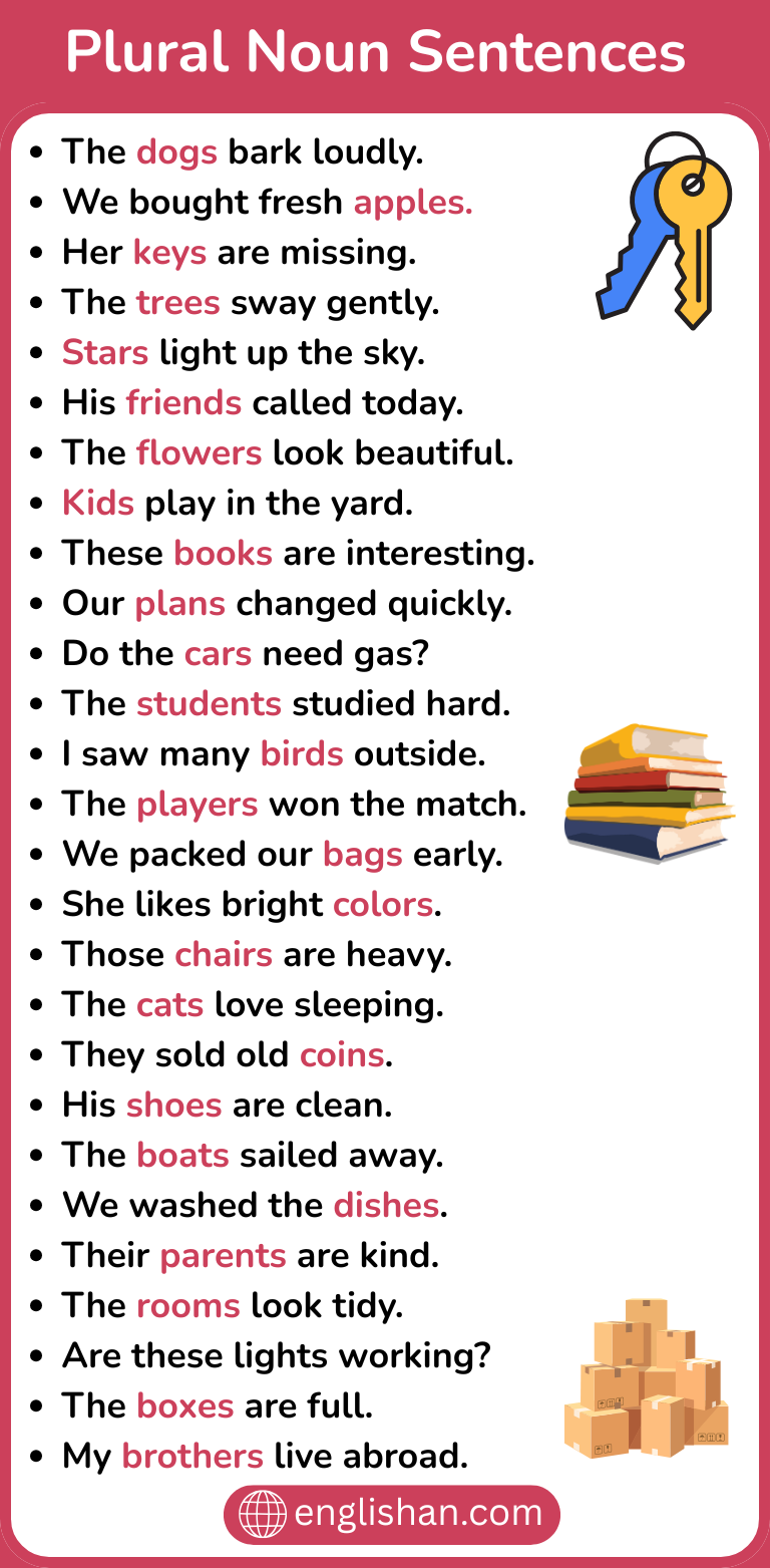 100+ Plural Noun Examples In Sentences For Learning