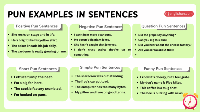 Complete List Of 100 Pun Examples In Sentences