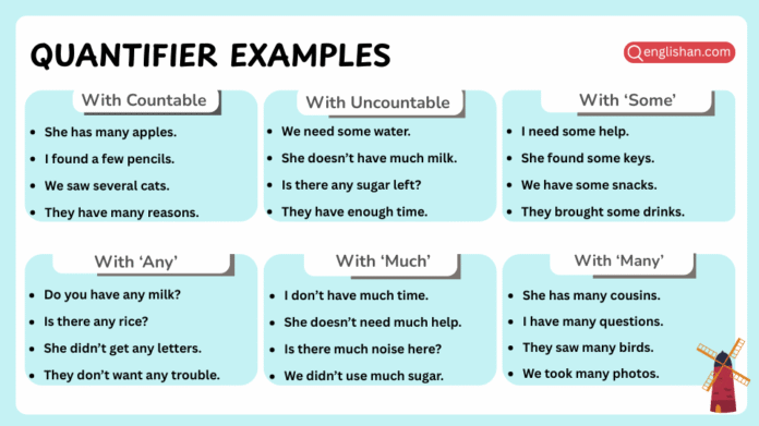 100 Useful Quantifier Examples in Sentences