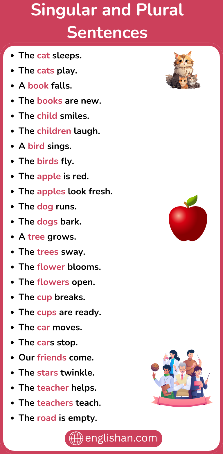 100 Useful Singular And Plural Sentences List