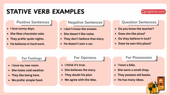 100 Complete Stative Verb Examples Sentences List