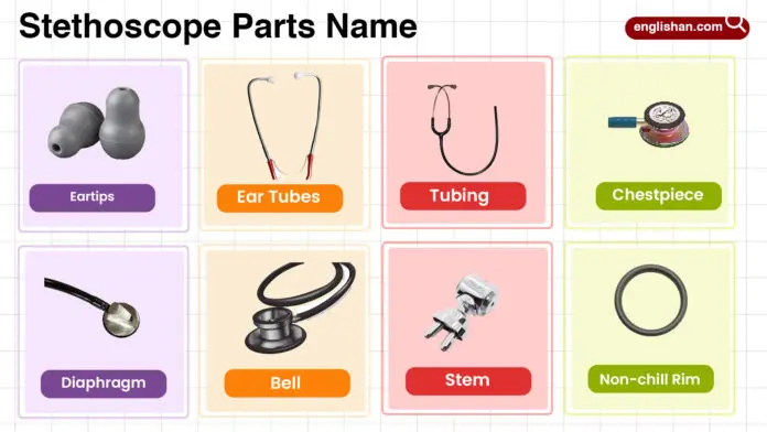 Parts of Stethoscope, Its Functions and Labeled Diagram