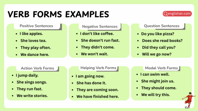150+ Verb Forms Sentences For English Learners
