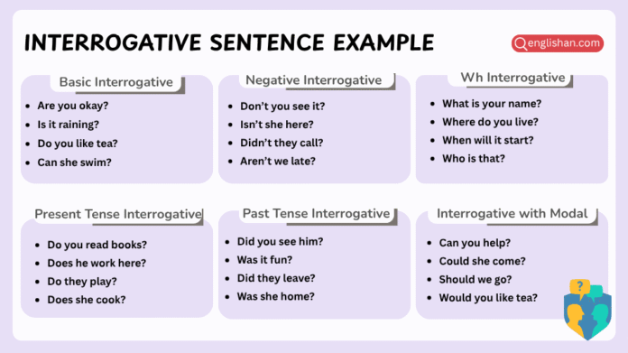 100 Practical Interrogative Sentence Examples List