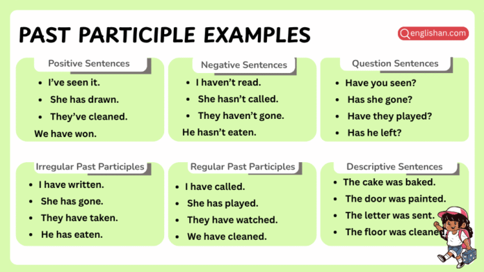 Past Participle Examples in Sentences for Learners