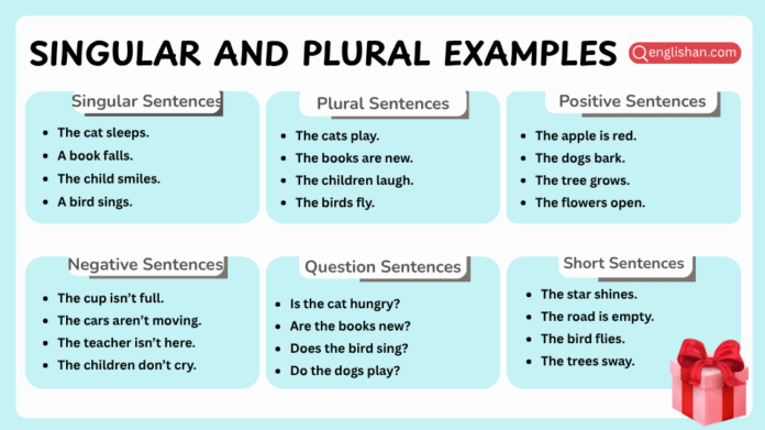 100 Useful Singular And Plural Sentences List