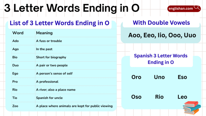 3 Letter Words Ending in O for Students and Learners